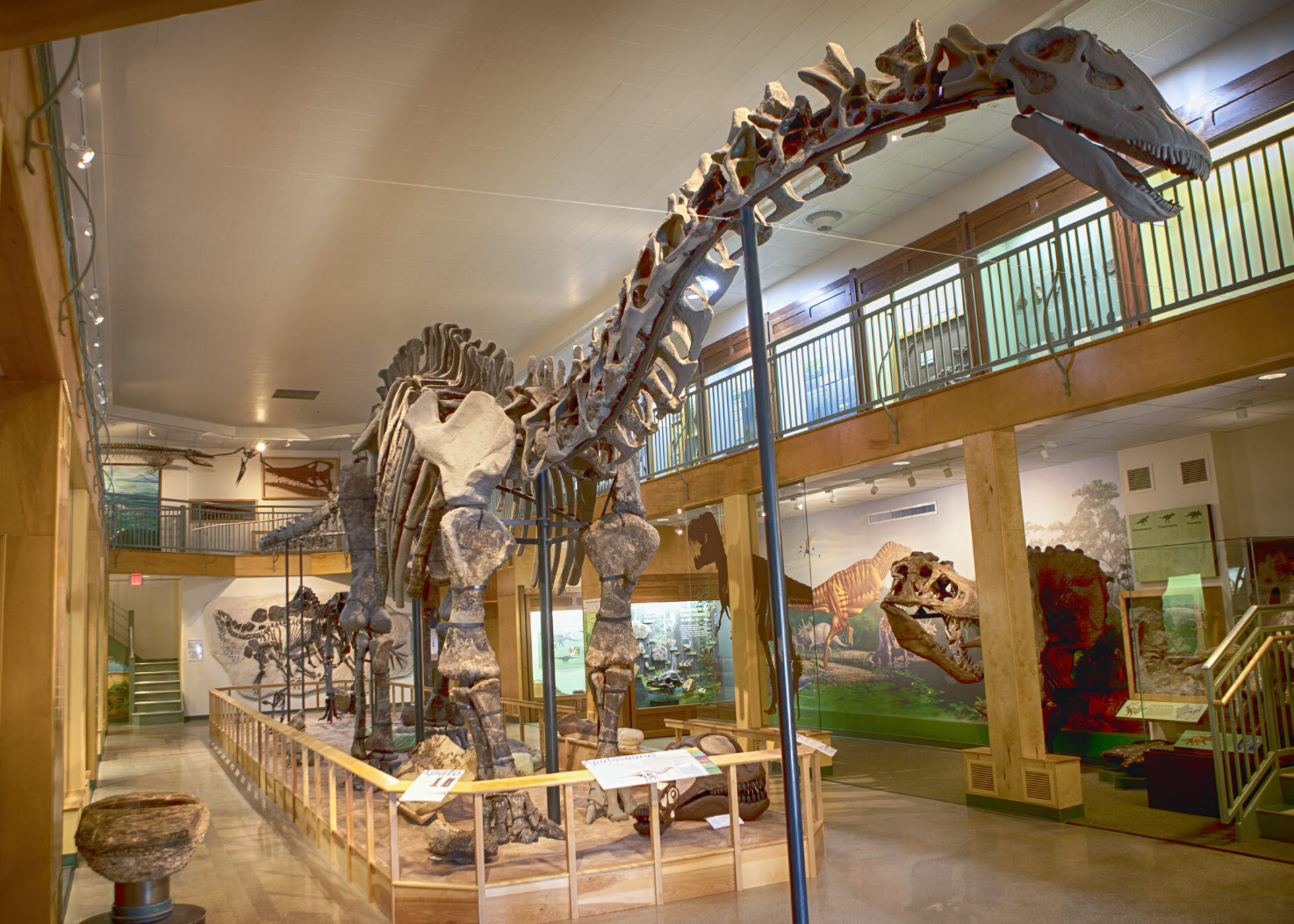 The 50 Most Impressive College Museums - College Values Online