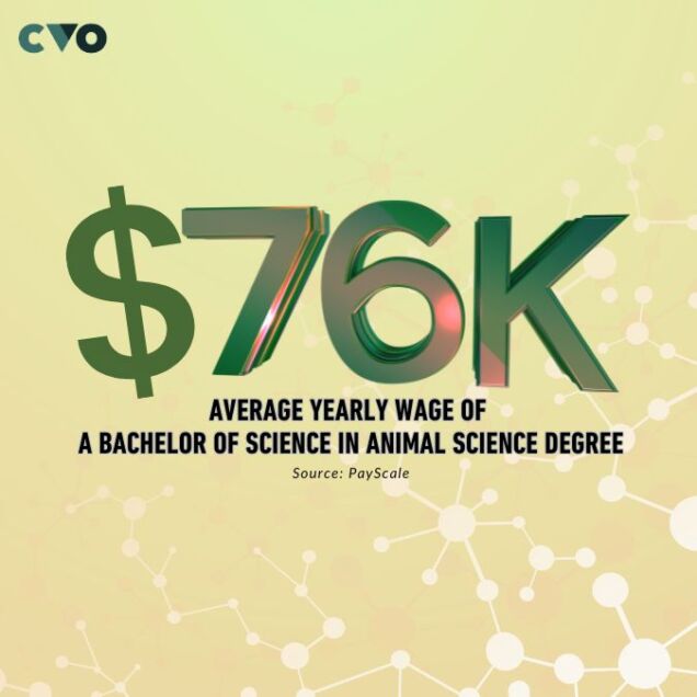 Best Animal Behavior Degree Programs